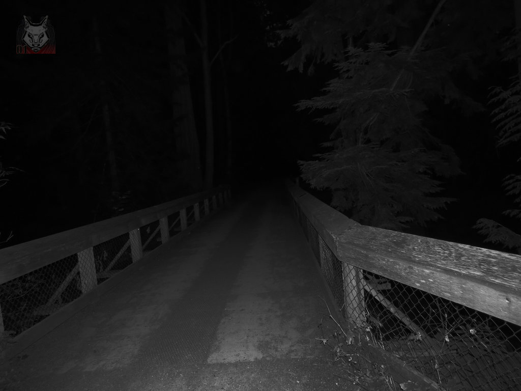 The Haunted Bridge – A Perspective | Sunshine and Zephyr by Shweta